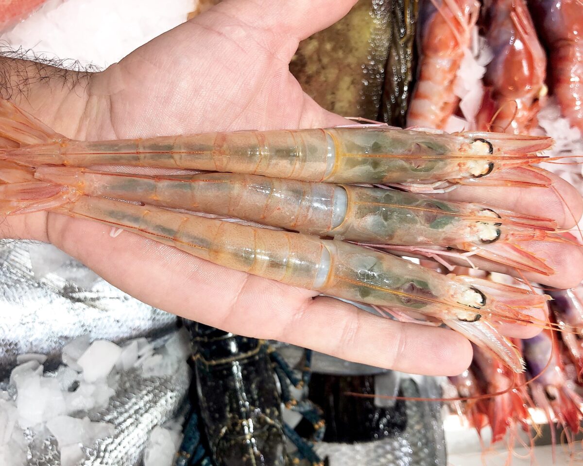 Huelva, el gran vivero de la gamba blanca - 7 Caníbales