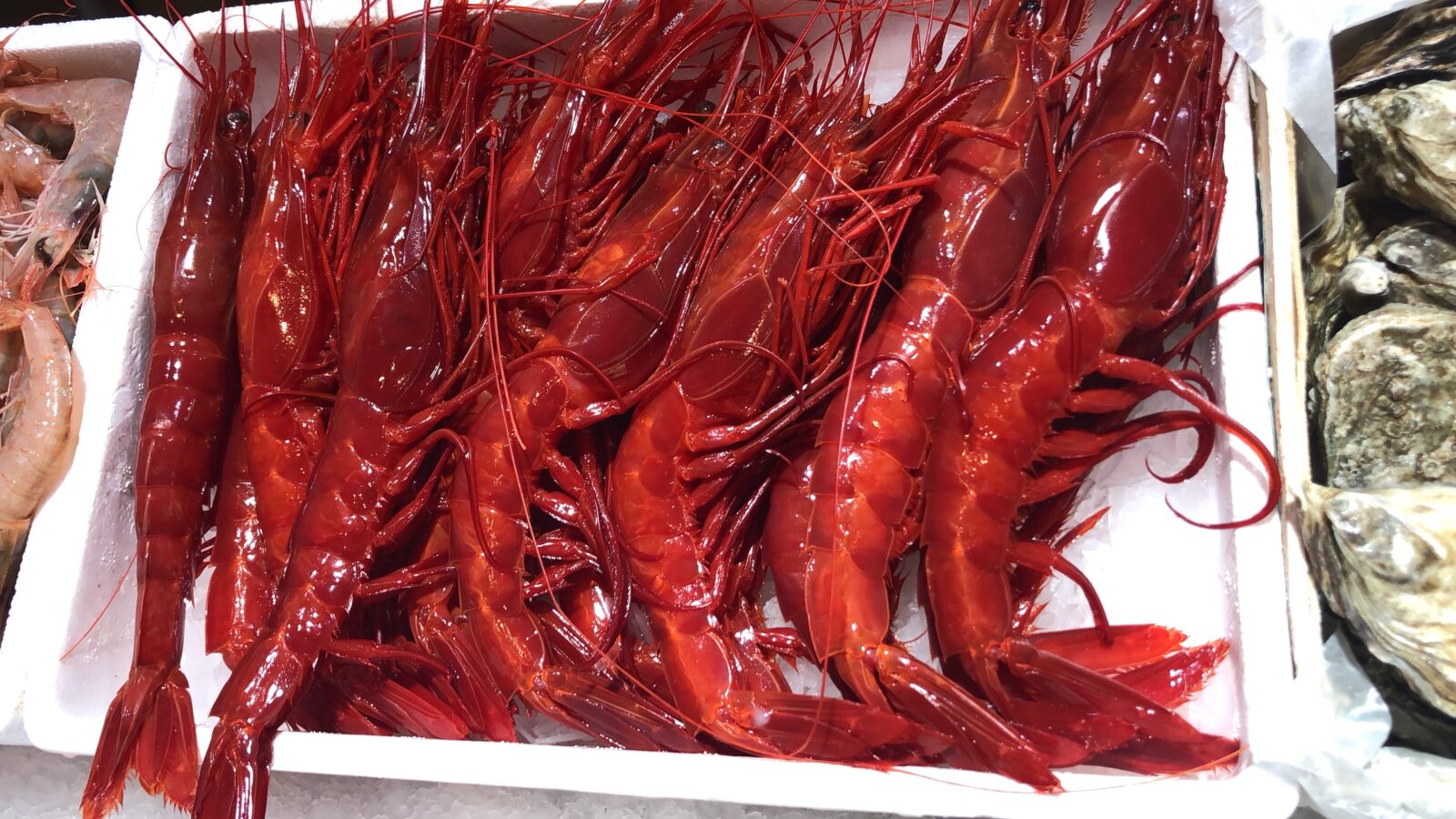 Huelva, el gran vivero de la gamba blanca - 7 Caníbales