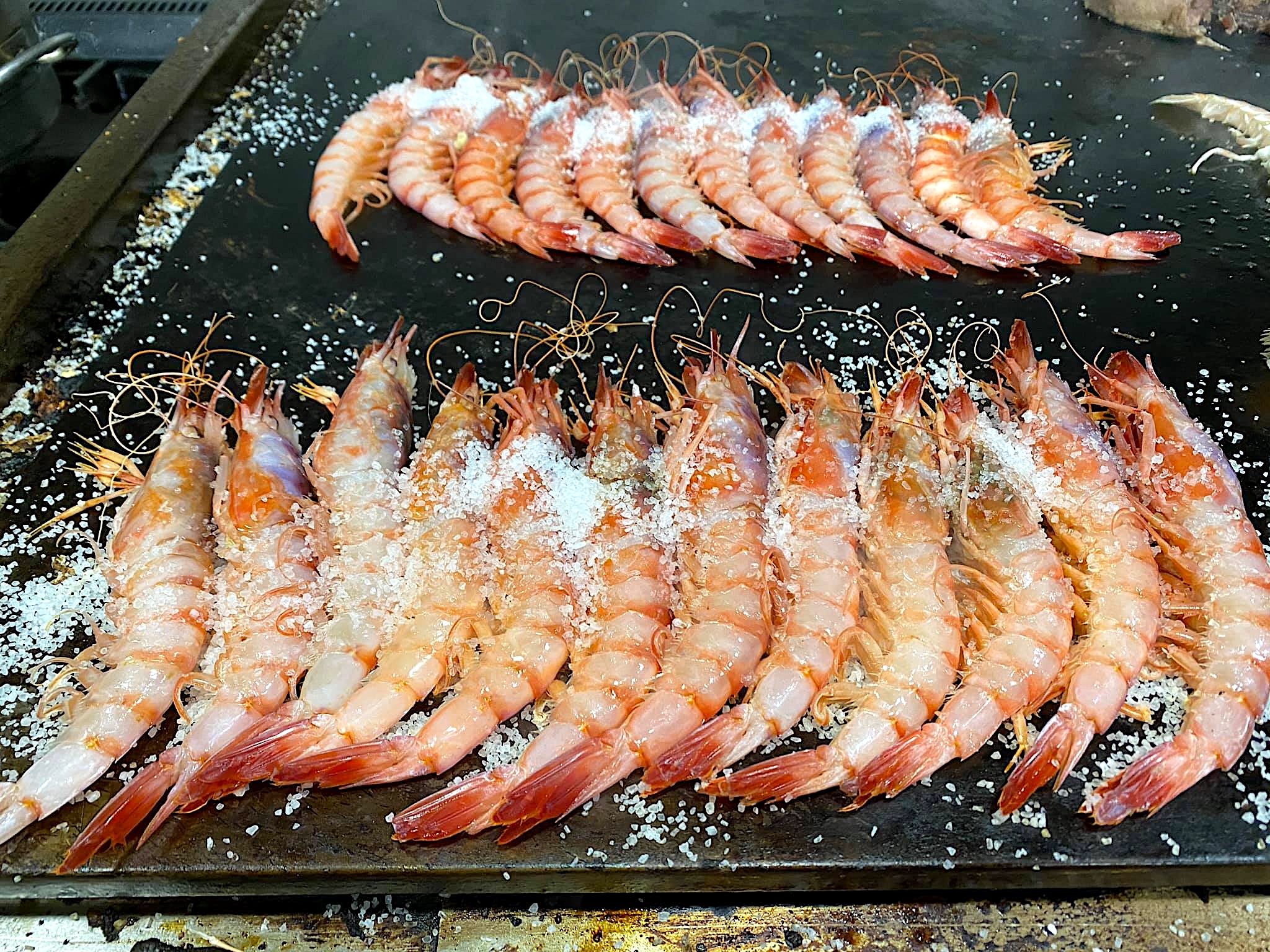 Huelva, el gran vivero de la gamba blanca - 7 Caníbales