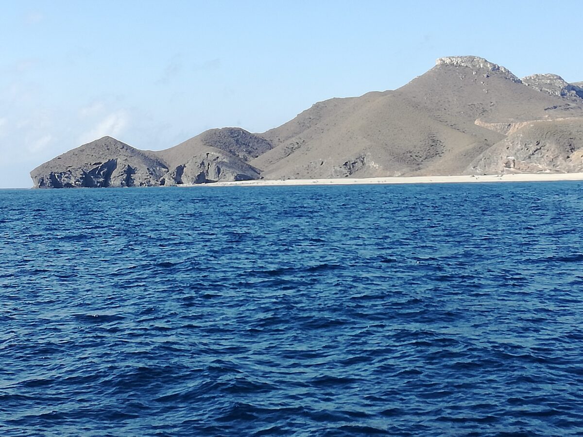 Andalucía en un plato de gambas: Las joyas del Mar de Alborán (I) - 7 ...