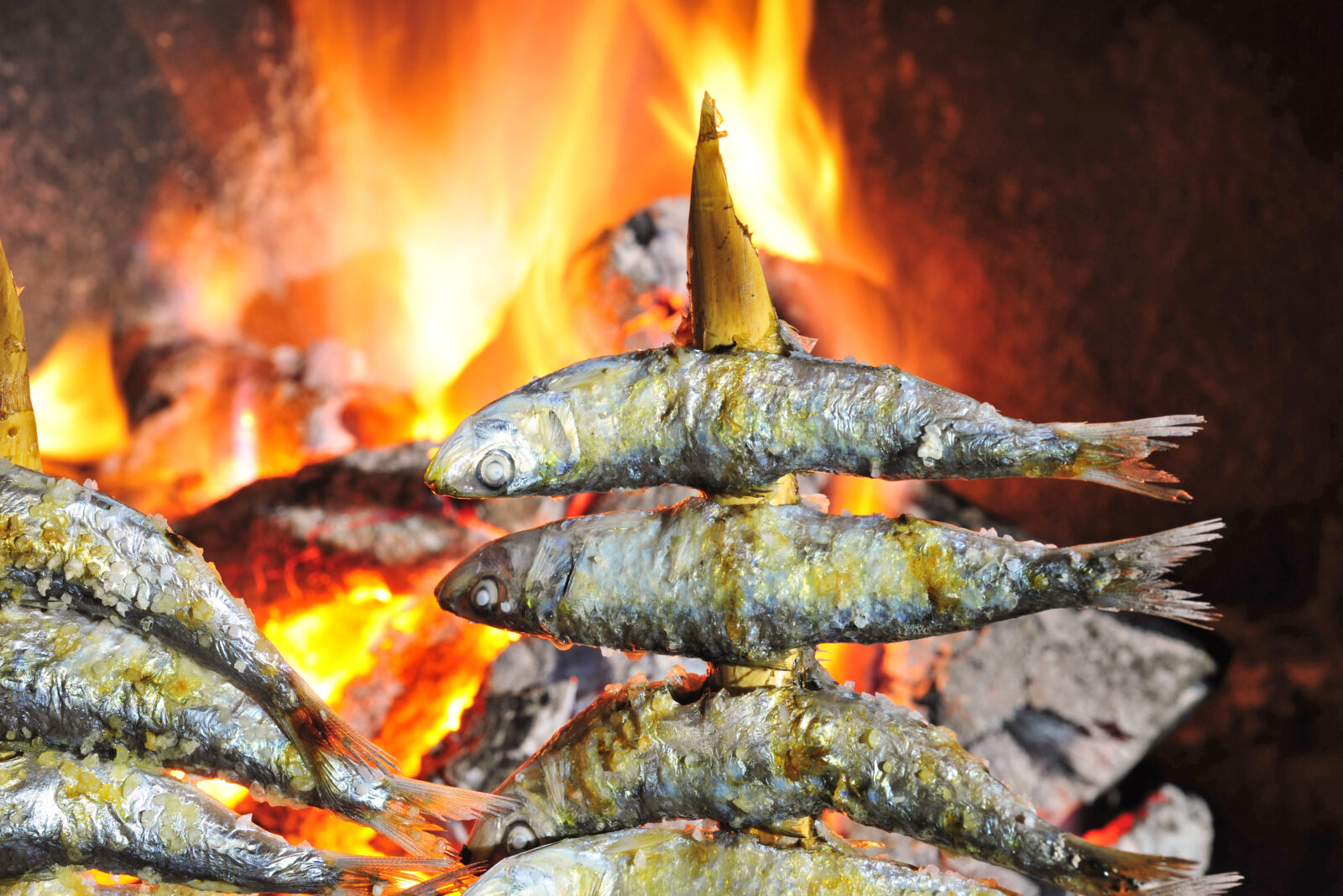 Espeto de sardinas, la ciencia de lo sencillo - 7 Caníbales