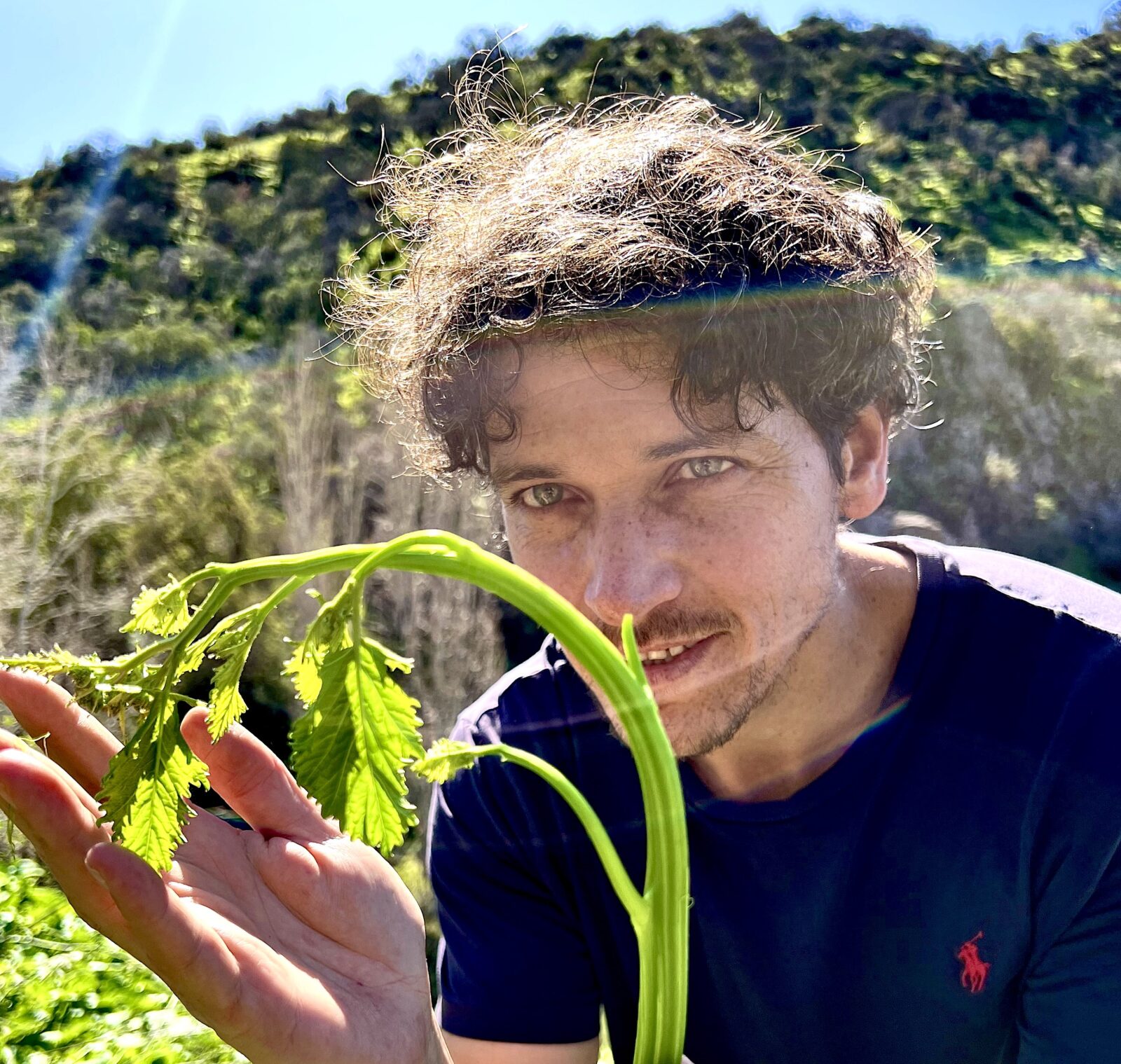 Rodolfo Guzmán: "Boragó es uno y debe estar en Santiago de Chile” - 7 ...