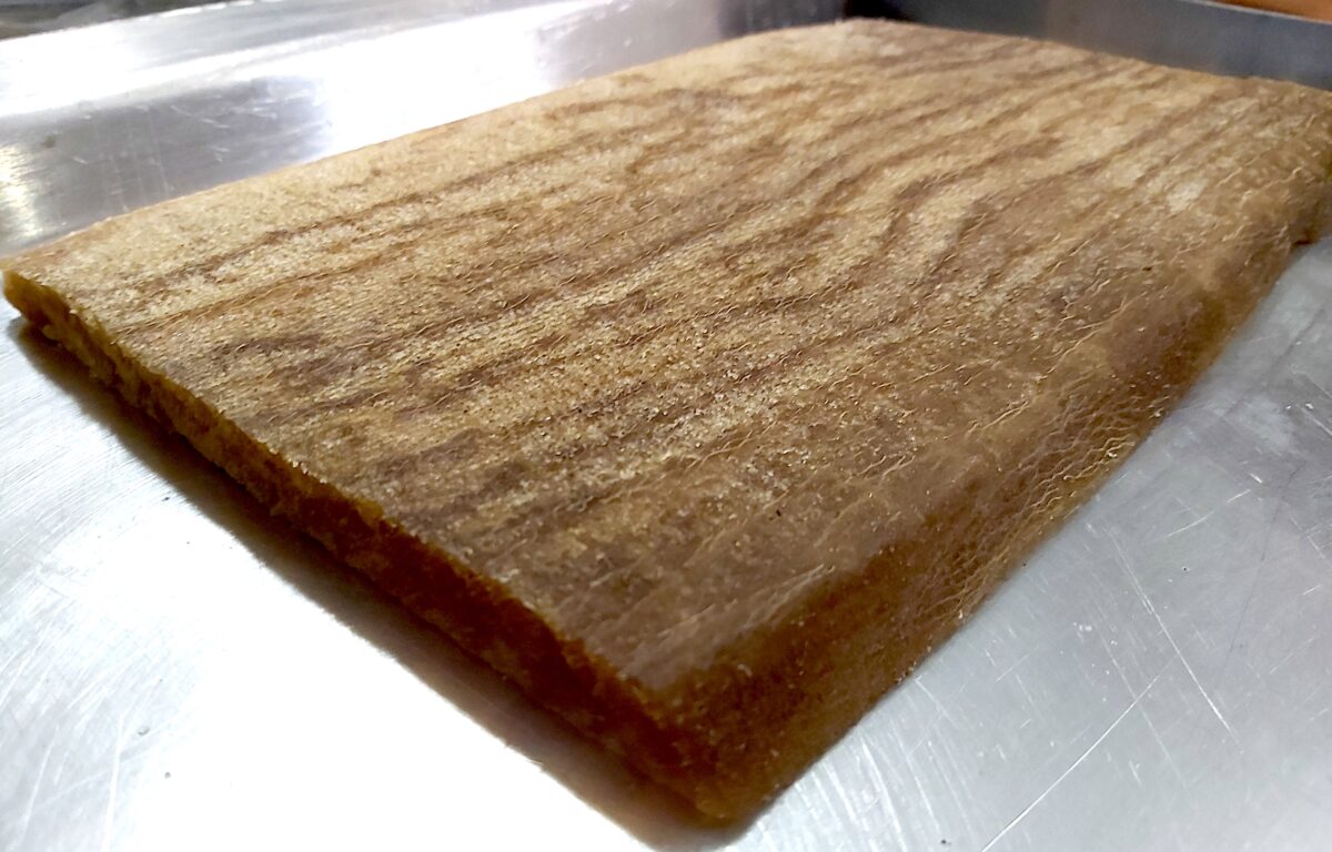 Yacaratiá, la madera comestible que solo crece en Misiones - 7 Caníbales
