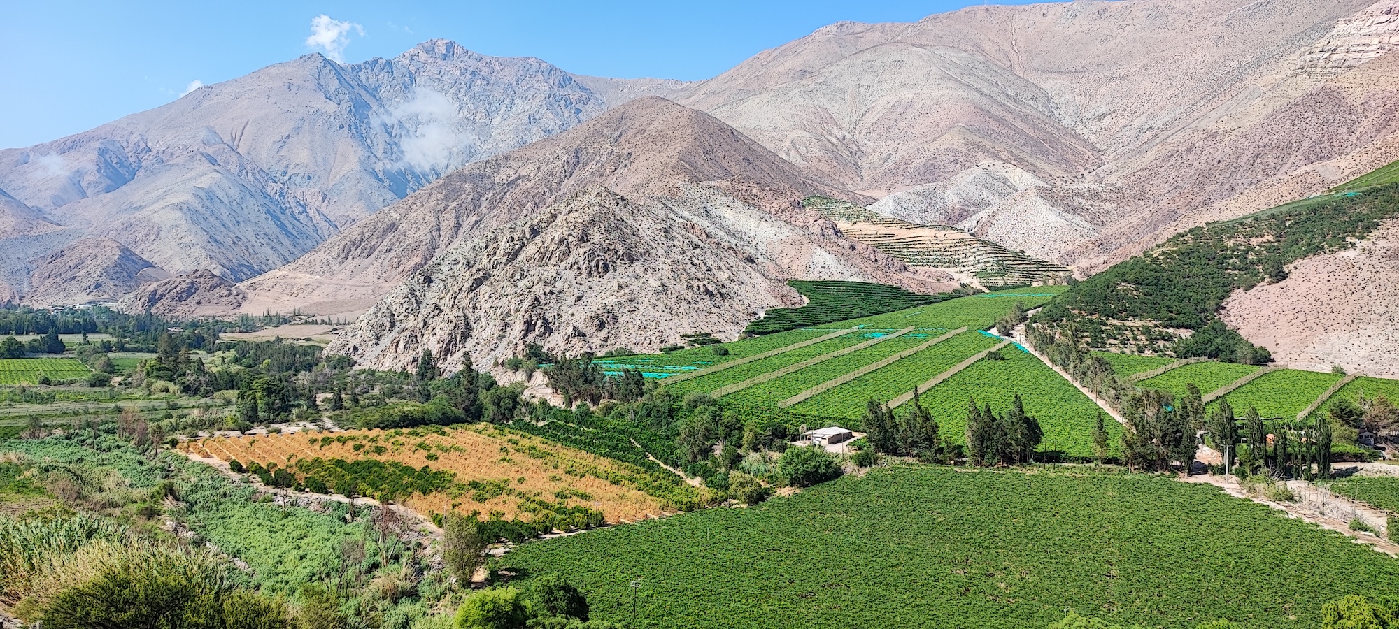 Pisco Chile se postula como Paisaje Cultural Vitivinícola por la Unesco ...