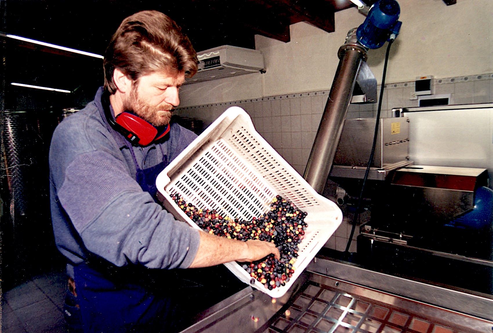 Argentina brilla en sus aceites de oliva - 7 Caníbales