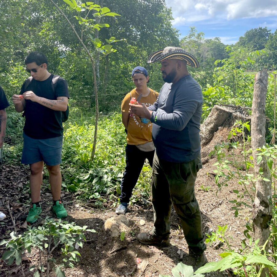 Montes de María, donde los árboles tienen forma de alcancía - 7 Caníbales