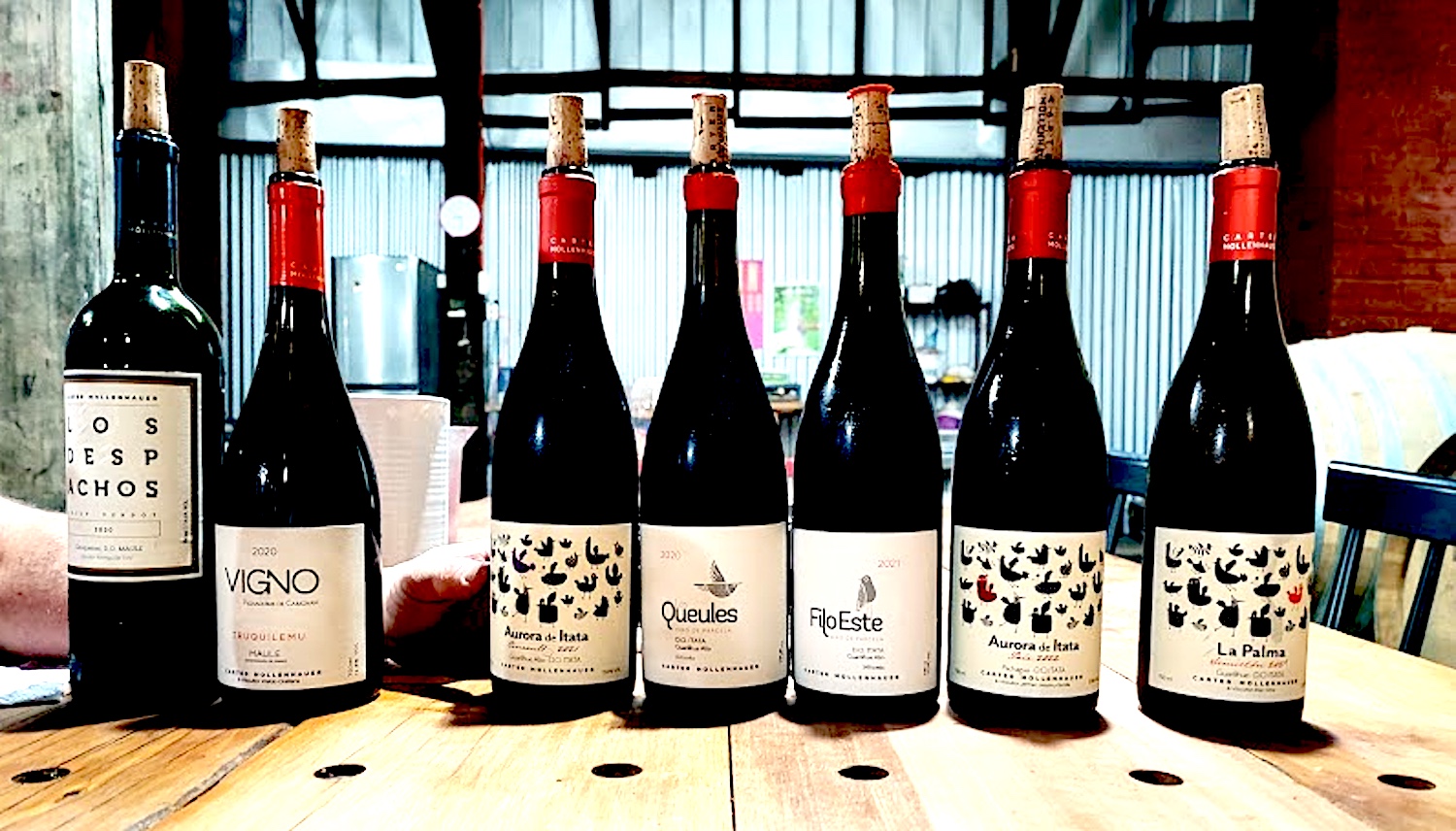 Carter Mollenhauer, una familia de lugares embotellados - 7 Caníbales