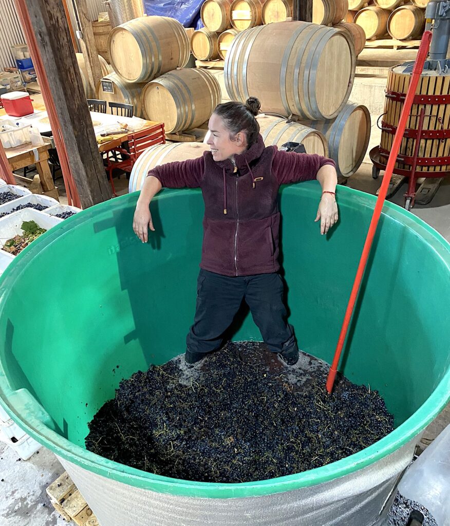 Carter Mollenhauer, una familia de lugares embotellados - 7 Caníbales