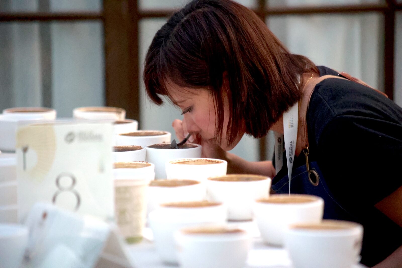 El café Geisha panameño rompe un nuevo récord - 7 Caníbales