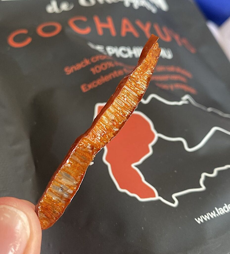 Cecilia Vargas, la alguera responsable del Cochayuyo de Pichilemu - 7 ...