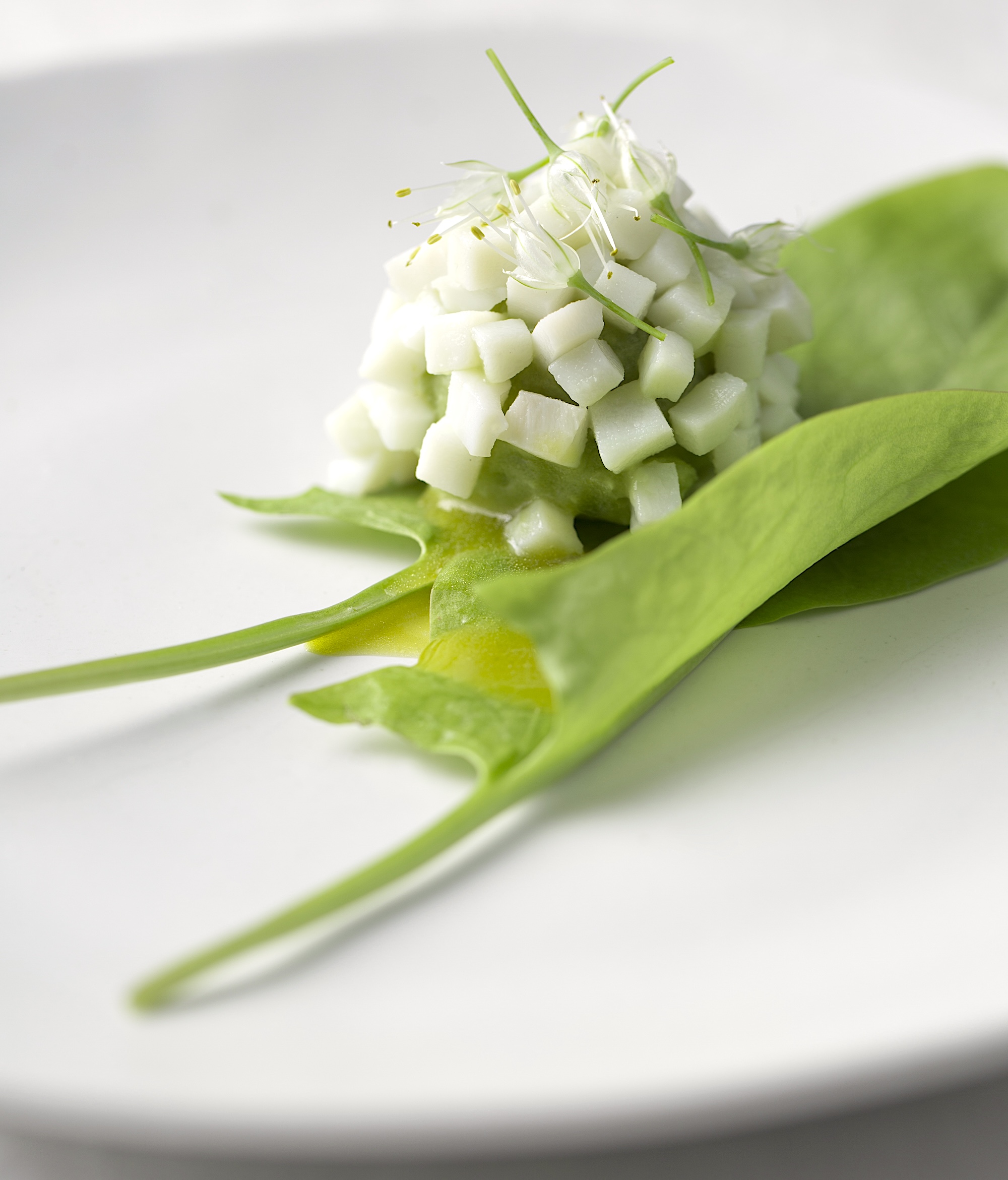 Jibia y sorbet de palta. Pilar Rodríguez en Food and Wine Studio - 7 ...